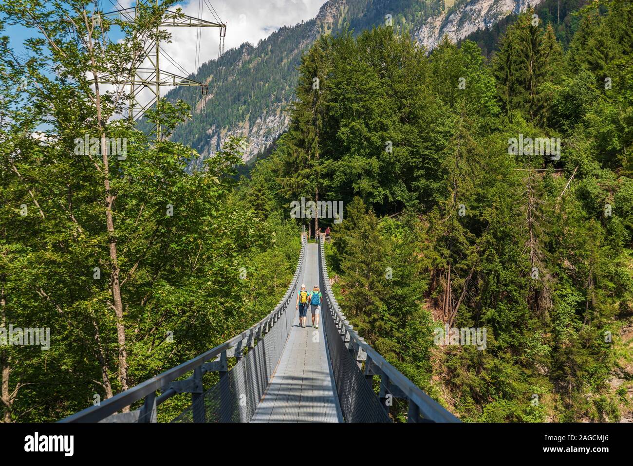 Hikers on Panorama Bridge, Leissingen, Bernese Oberland, Switzerland ...