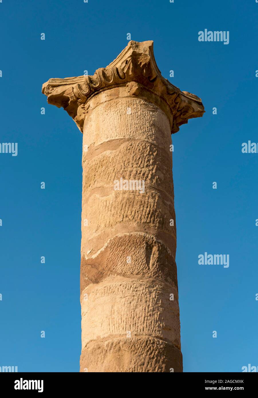 Column at the Great Temple of Petra, Jordan Stock Photo - Alamy
