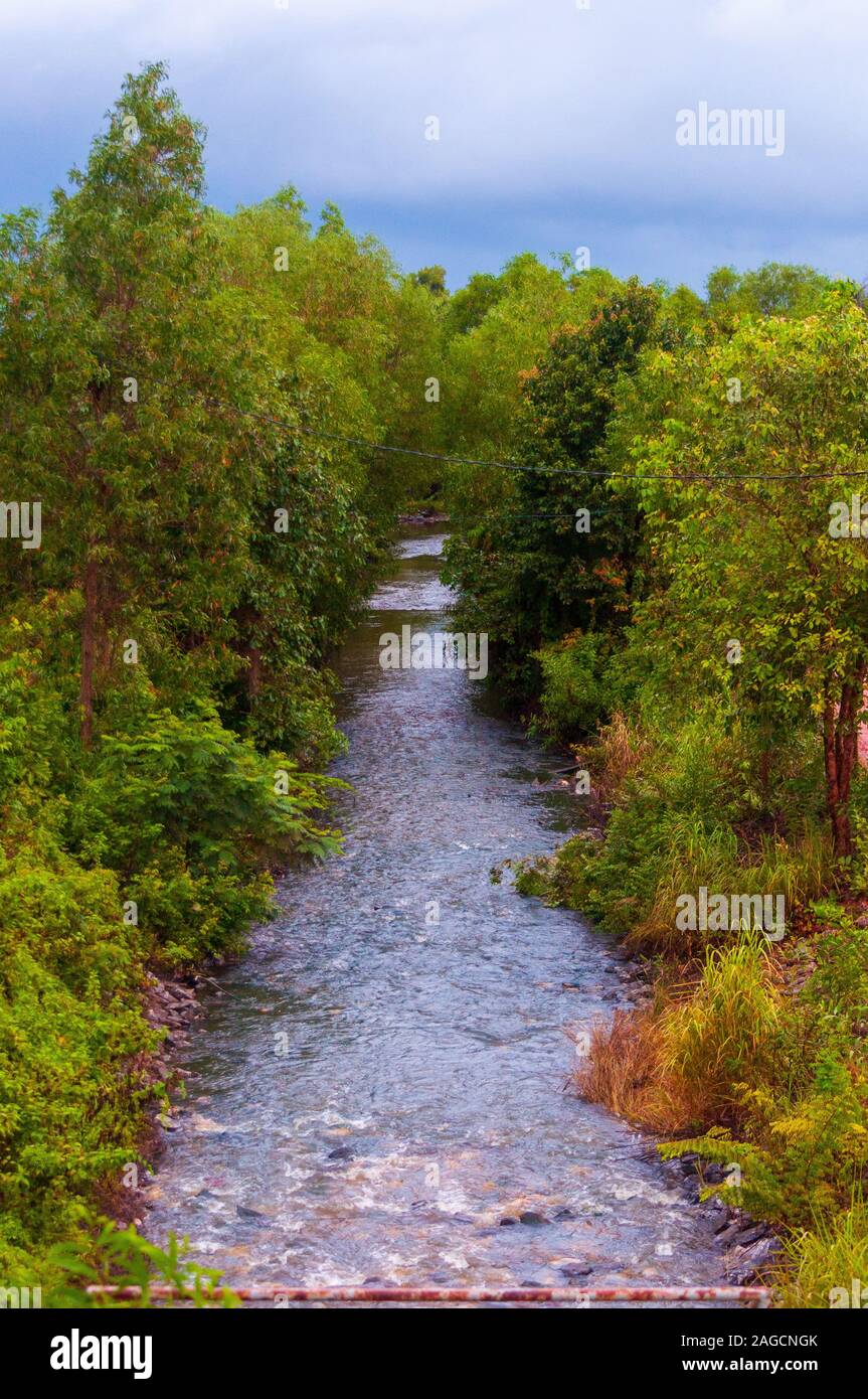 Vertical shot of a river flowing in the middle of green scenery in ...