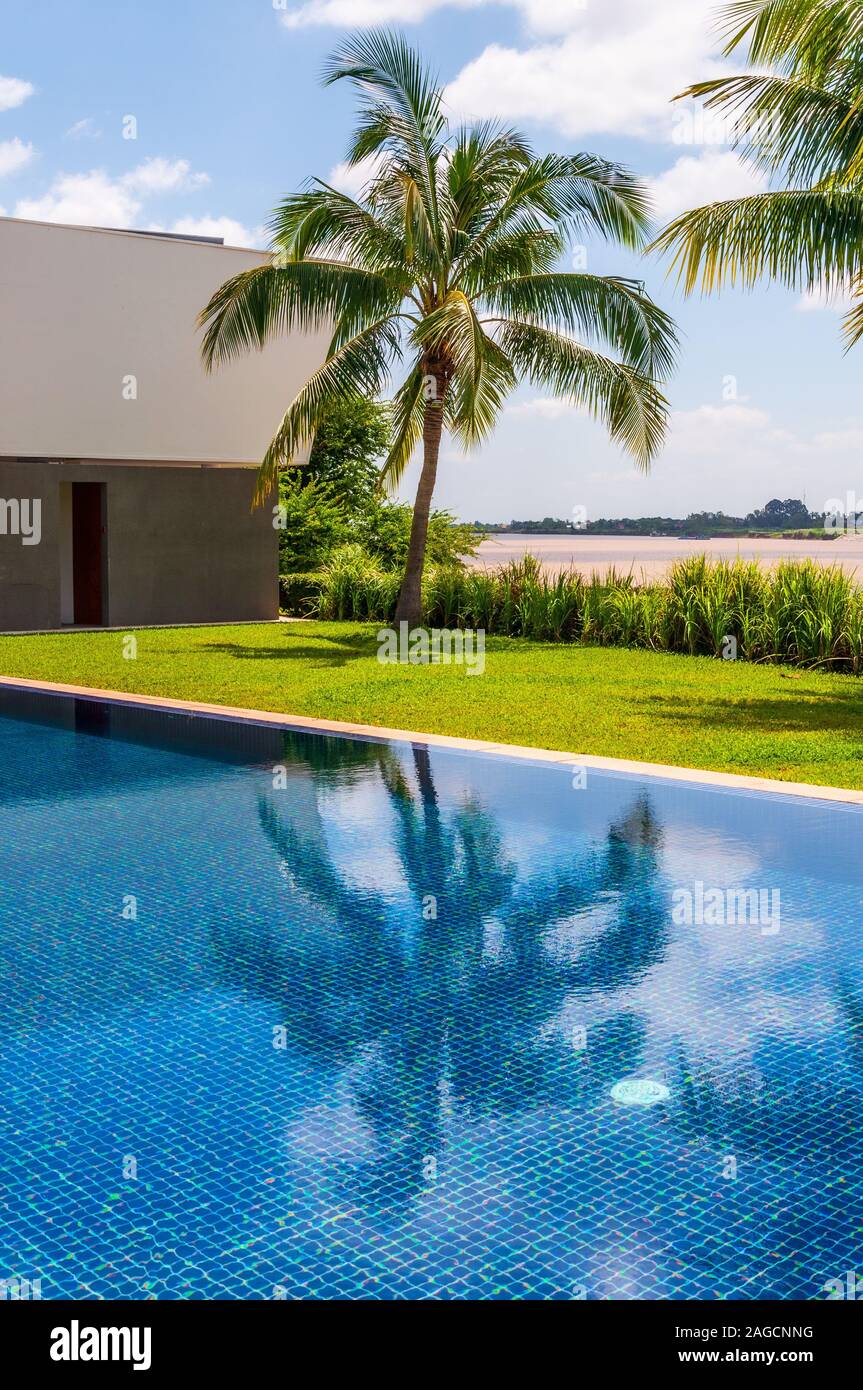 Vertical shot of a palm tree reflecting in the pool in Phnom Penh in ...
