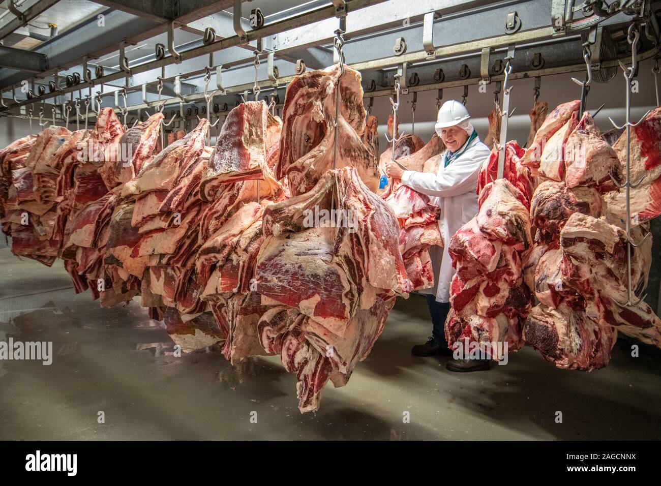 Meat inspector hi-res stock photography and images - Alamy