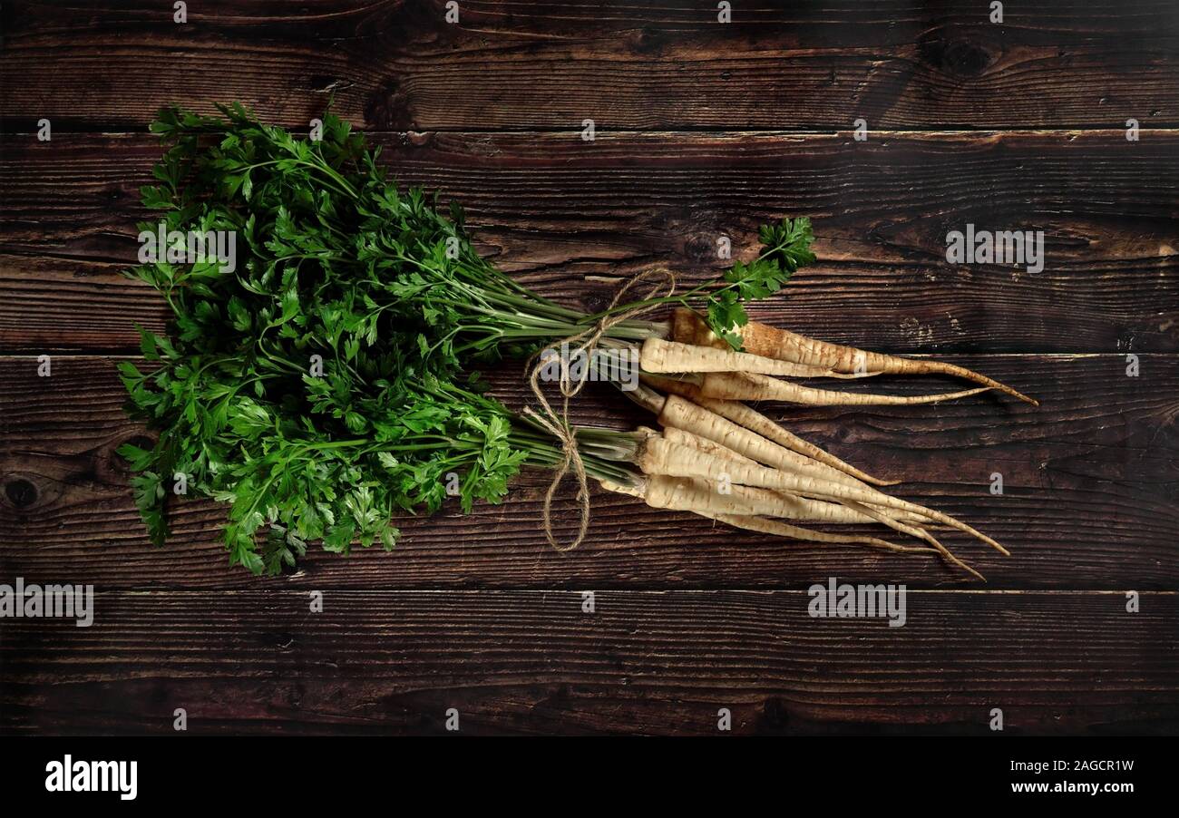 Two bunches of parsley parsnip roots and green leaves, tied with cord ...