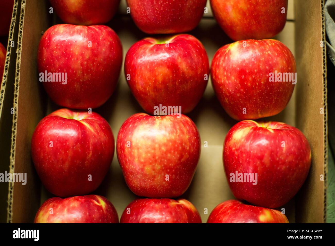 Cardboard box with perfectly arranged red apples in a market Stock ...