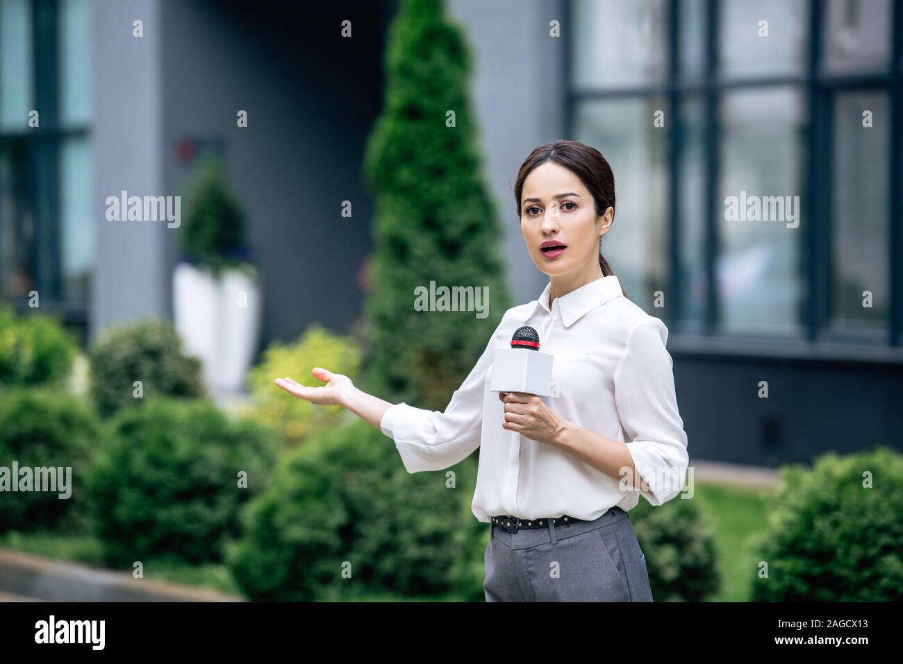 attractive journalist in formal wear holding microphone and speaking ...