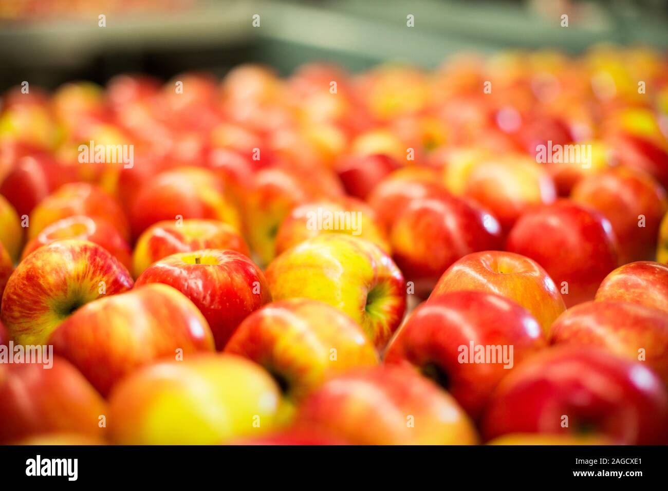 Lot of apples in the box in a food market - great for a wallpaper Stock ...