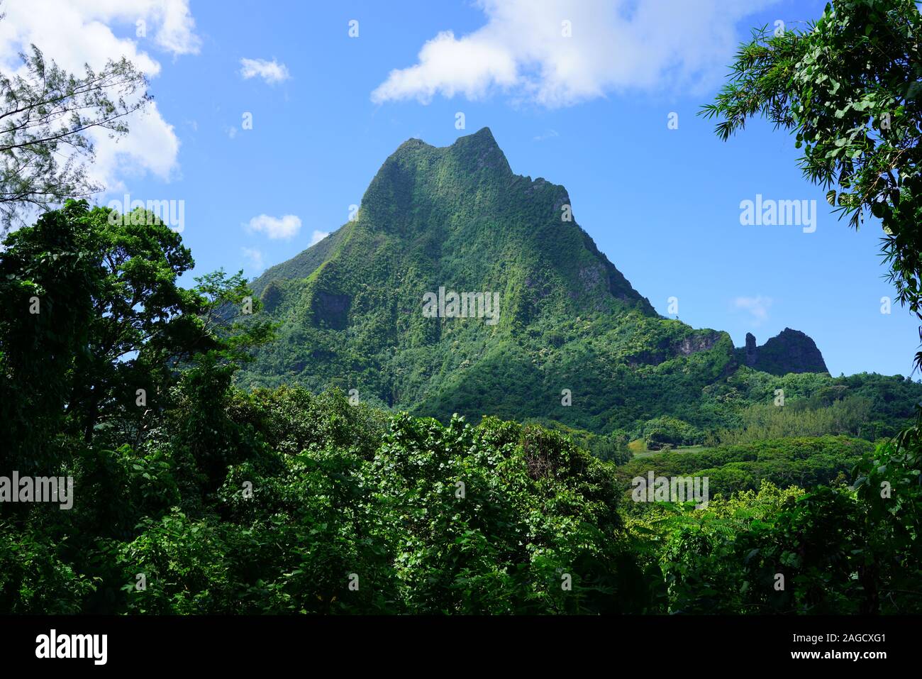 Green landscape view on the island of Moorea near Tahiti in French ...
