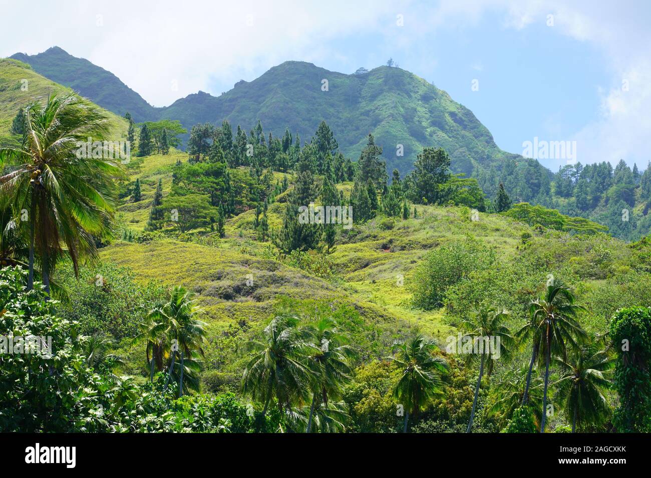 Green landscape view on the island of Moorea near Tahiti in French ...