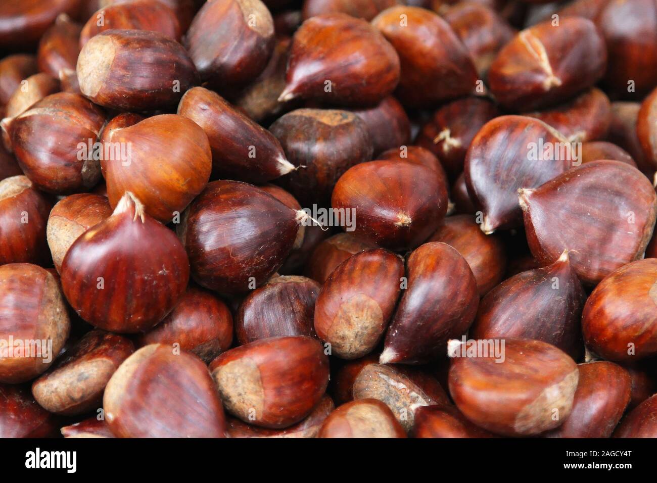 Raw chestnuts hi-res stock photography and images - Alamy