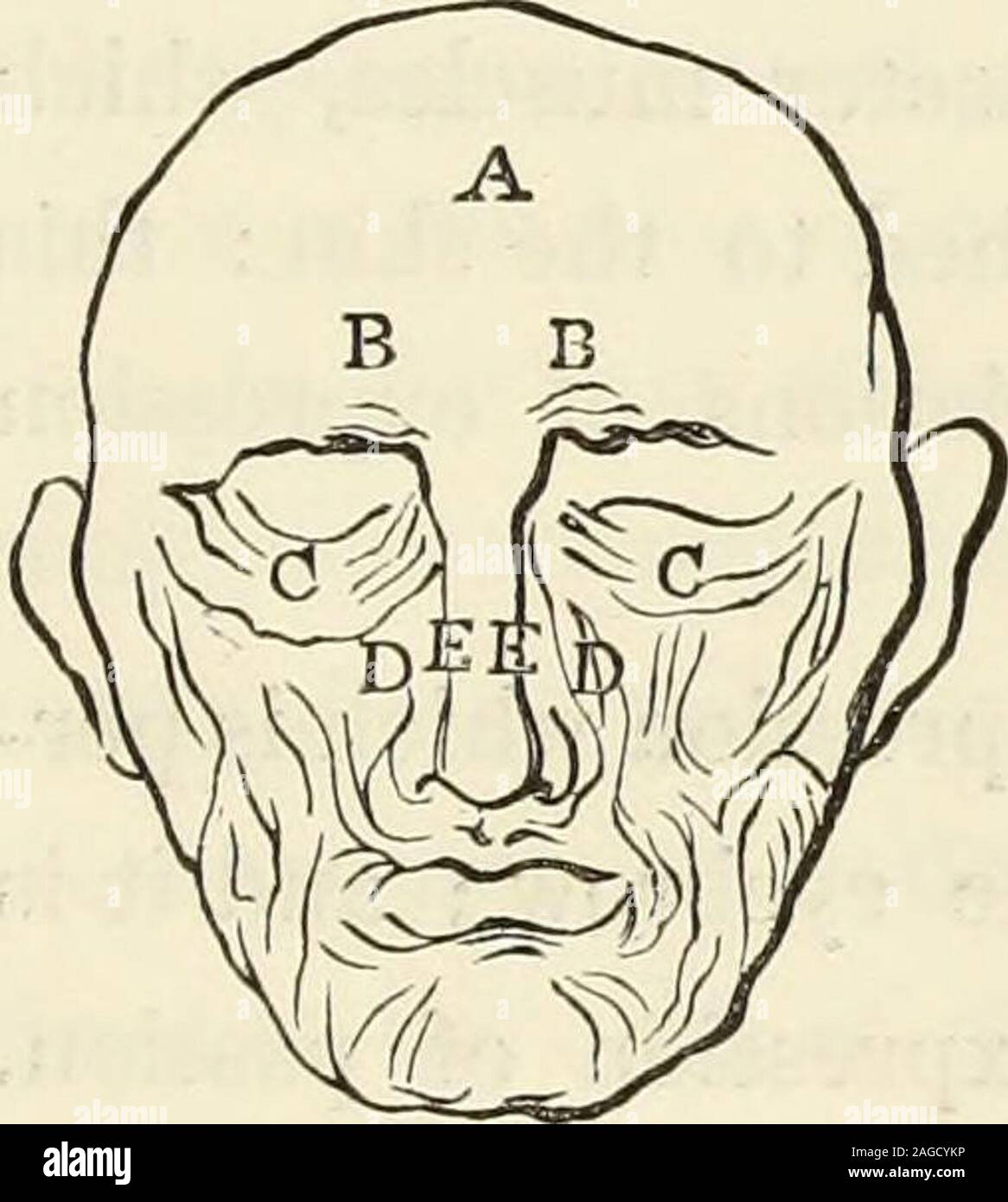 . The progressive drawing-book : containing a series of easy and ...