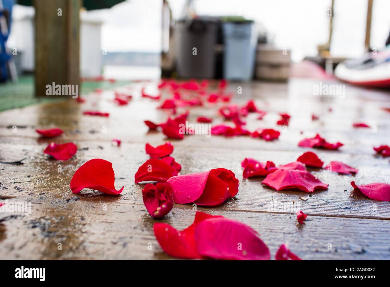 Red rose petal scatter hi-res stock photography and images - Alamy