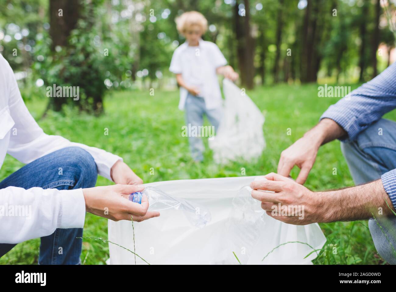 partial view of family picking up garbage in plastic bag in park Stock ...