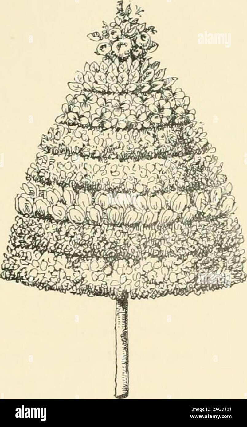 Rush cart procession hi-res stock photography and images - Alamy