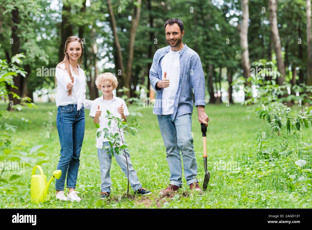 happy family showing thumbs up during planting seedlings in park Stock ...