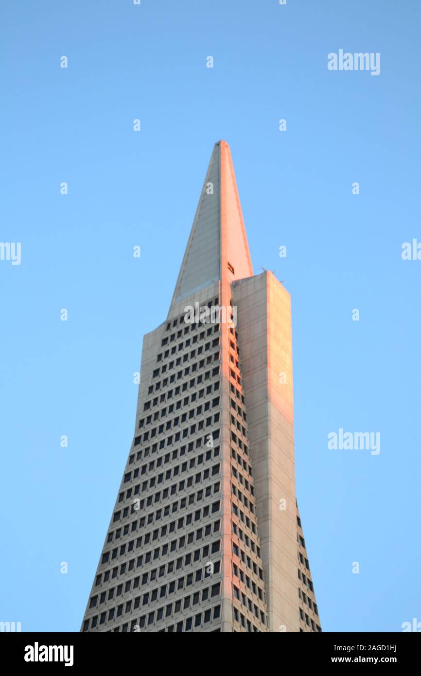 Low angle shot of the Transamerica tower under a blue sky during sunset ...
