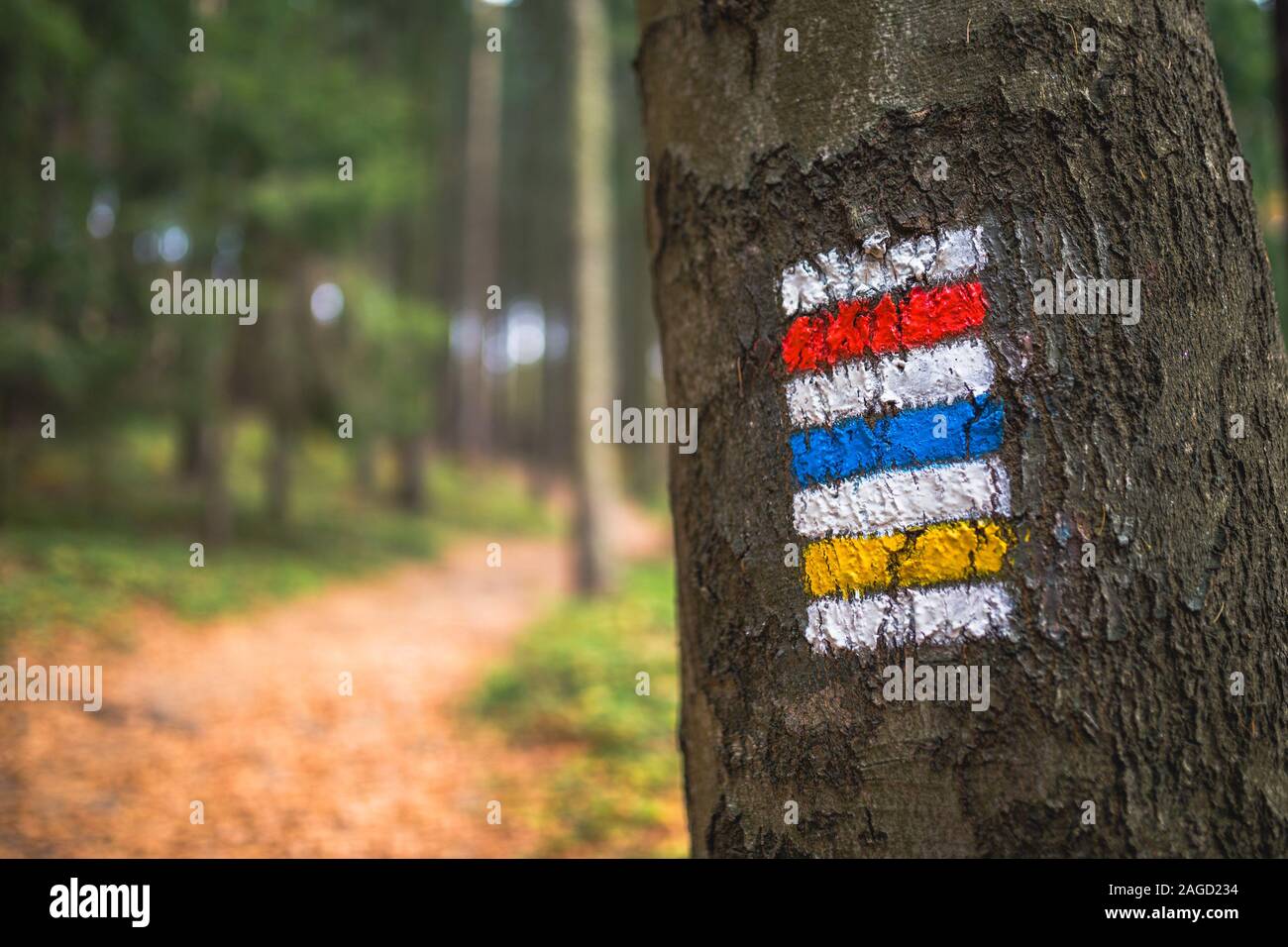 Bark Mark Marking High Resolution Stock Photography and Images - Alamy