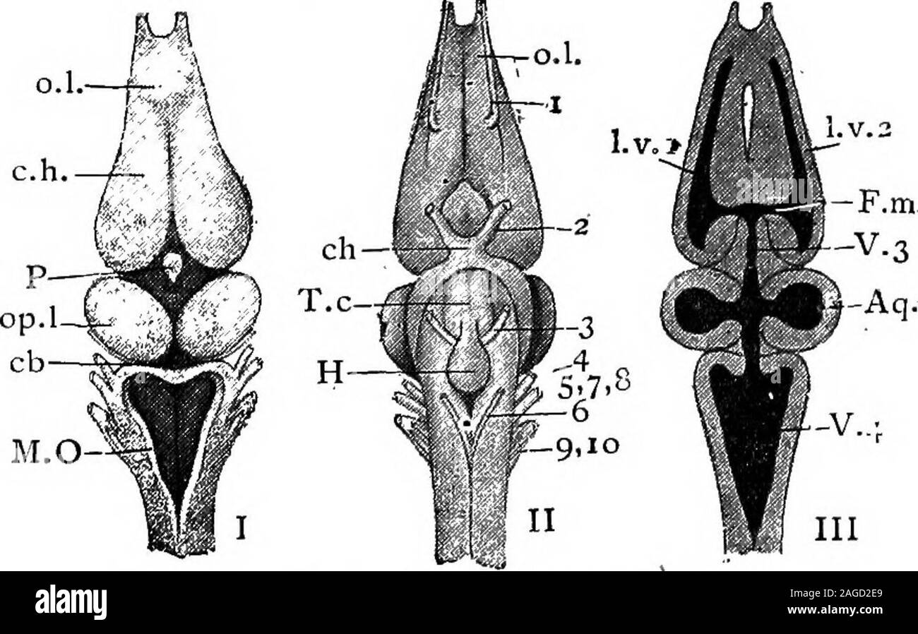 317 587 hi-res stock photography and images - Alamy