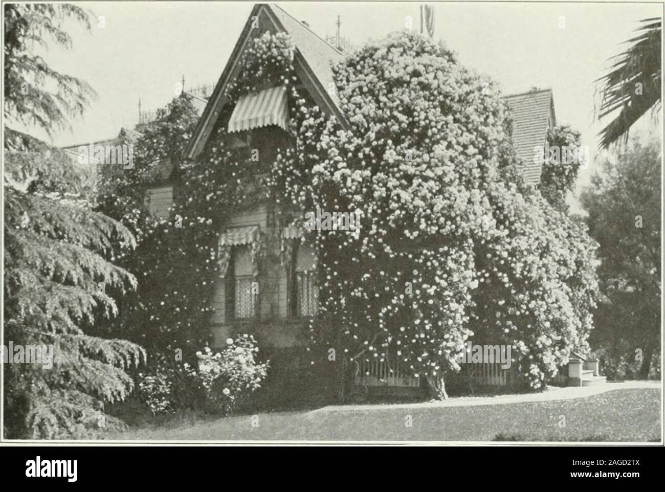 . Beautiful gardens in America. PLATE 152 Canon Crest Park, Redlands ...
