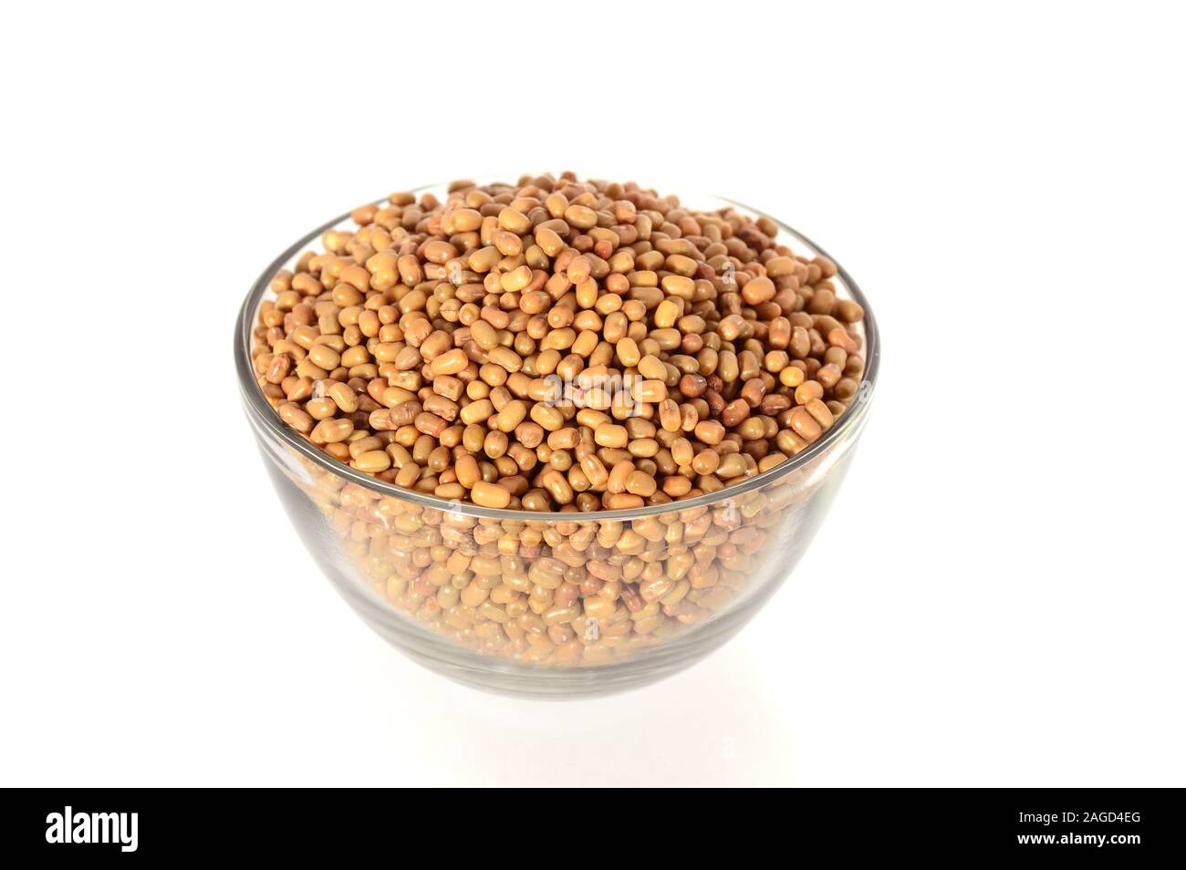 Closeup Of Moth Beans, Indian name Matki, Closeup of moth beans a ...