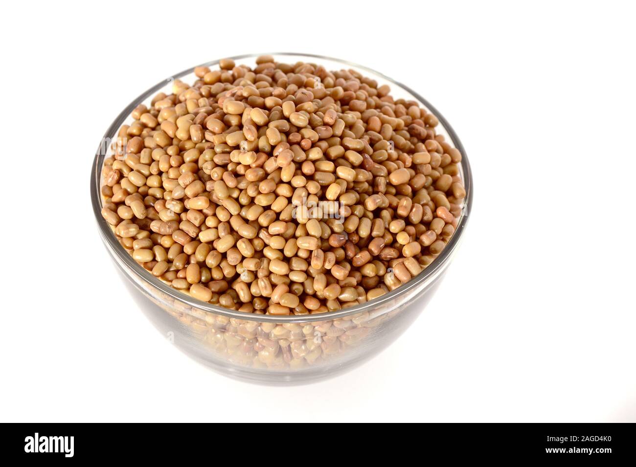 Closeup Of Moth Beans, Indian name Matki, Closeup of moth beans a ...
