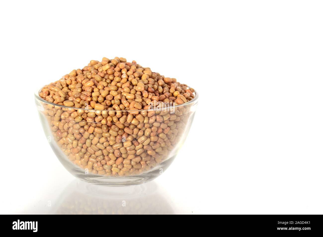 Closeup Of Moth Beans, Indian name Matki, Closeup of moth beans a ...