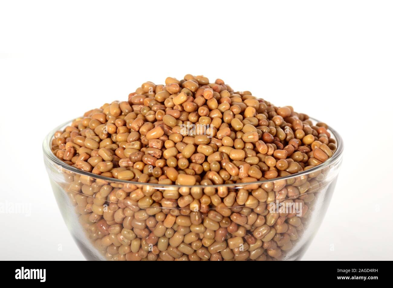 Closeup Of Moth Beans, Indian name Matki, Closeup of moth beans a ...