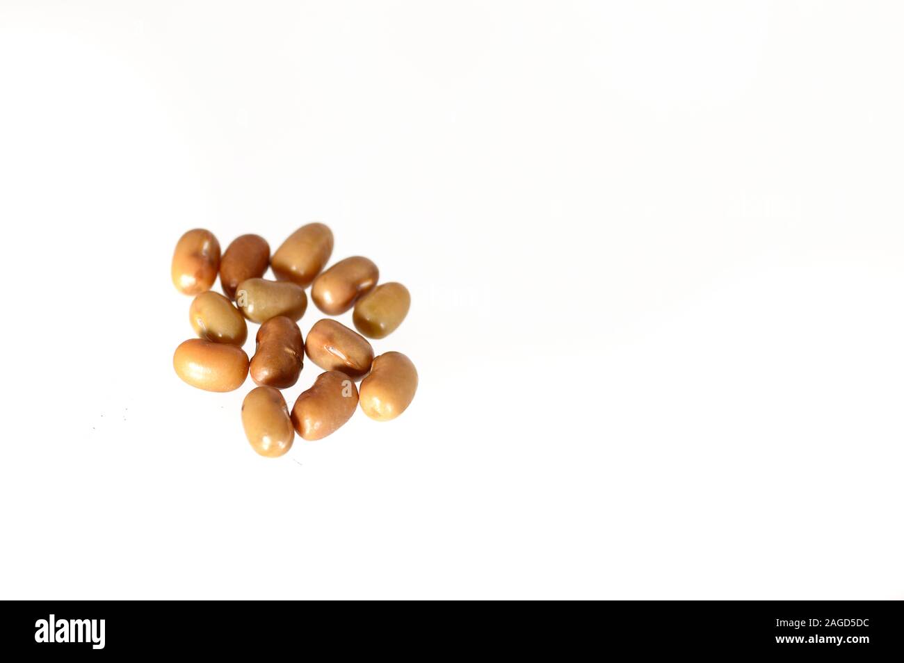 Closeup Of Moth Beans, Indian name Matki, Closeup of moth beans a ...