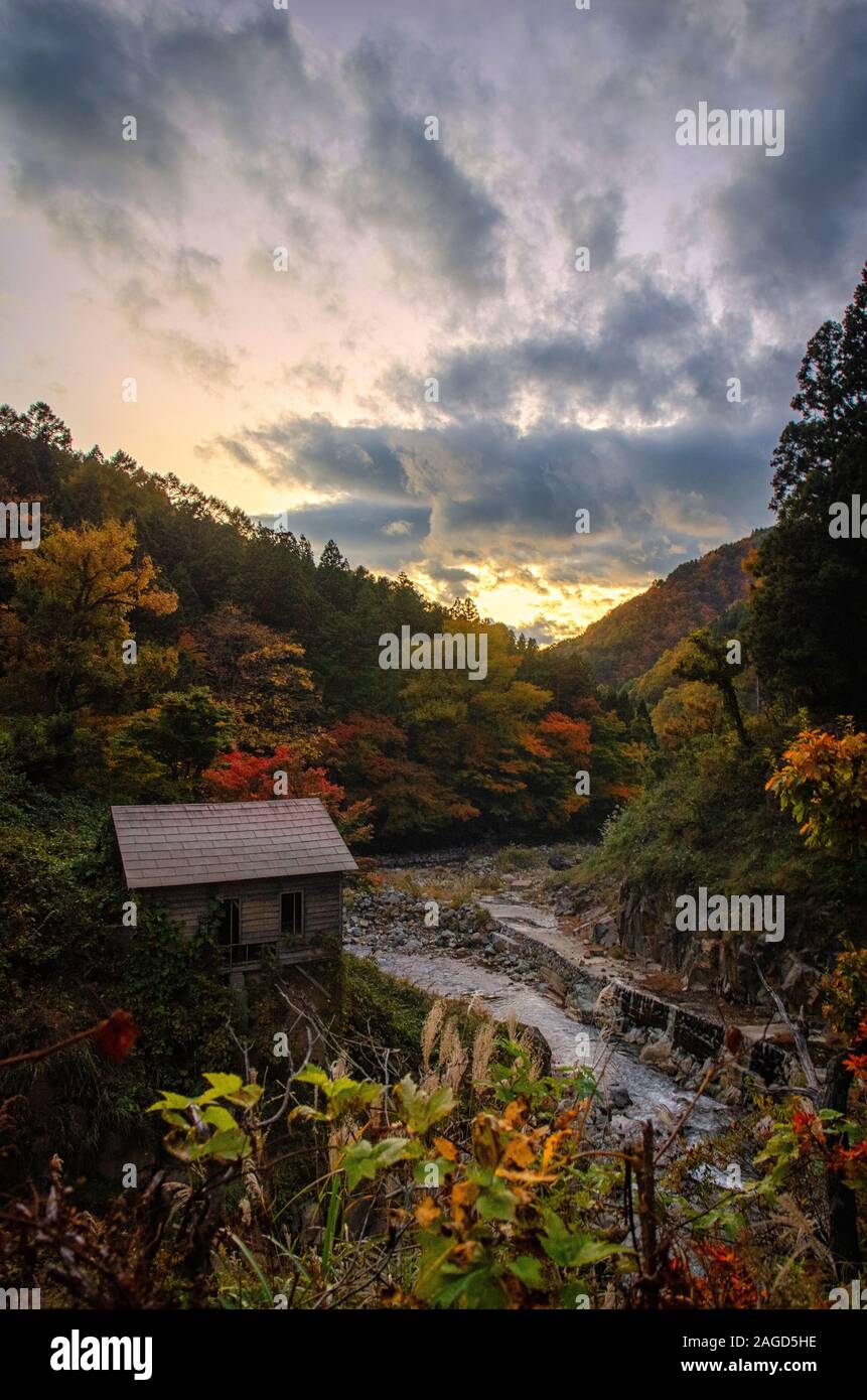 Breathtaking scenery of the sun rising over the mesmerizing autumn ...