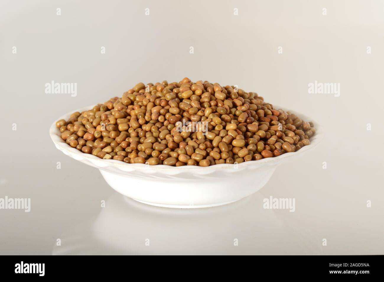 Closeup Of Moth Beans, Indian name Matki, Closeup of moth beans a ...