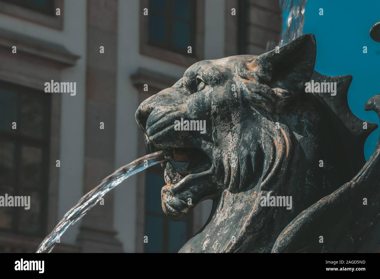 Lion shaped waterfall in Porto City Center Stock Photo - Alamy