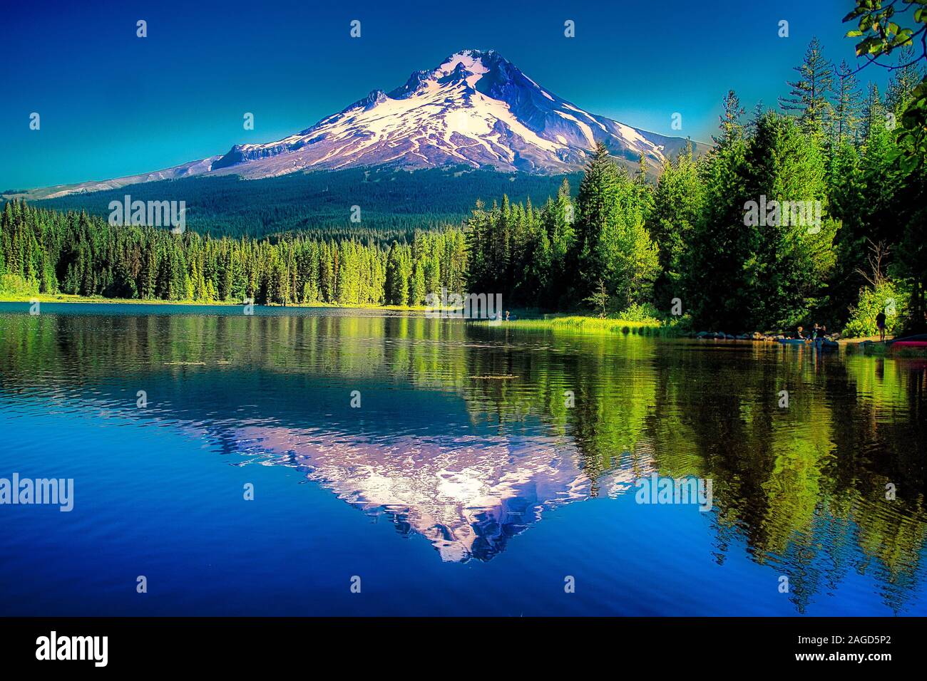Mount Hood view from Lake Trillium Stock Photo - Alamy