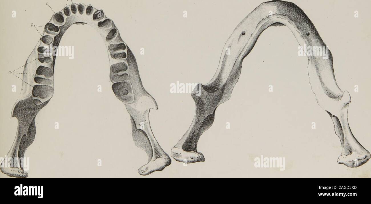 Hhsh hi-res stock photography and images - Alamy