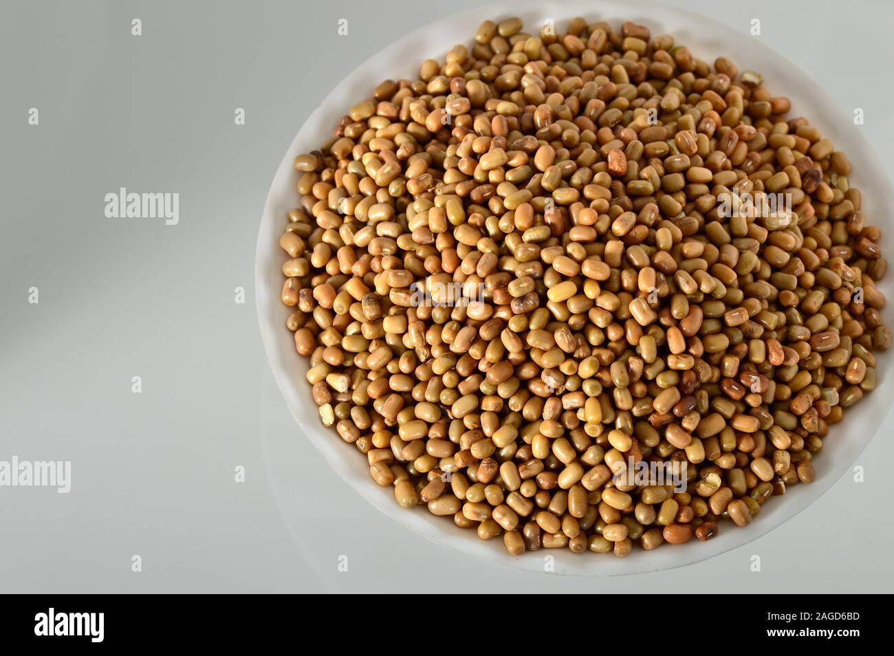 Closeup Of Moth Beans, Indian name Matki, Closeup of moth beans a ...