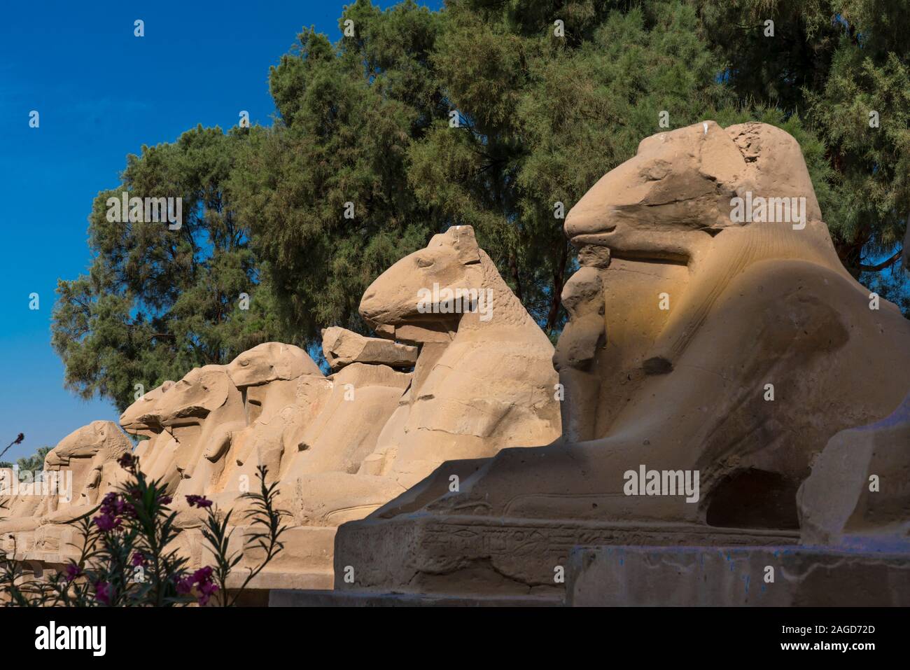 Decayed temples hi-res stock photography and images - Alamy