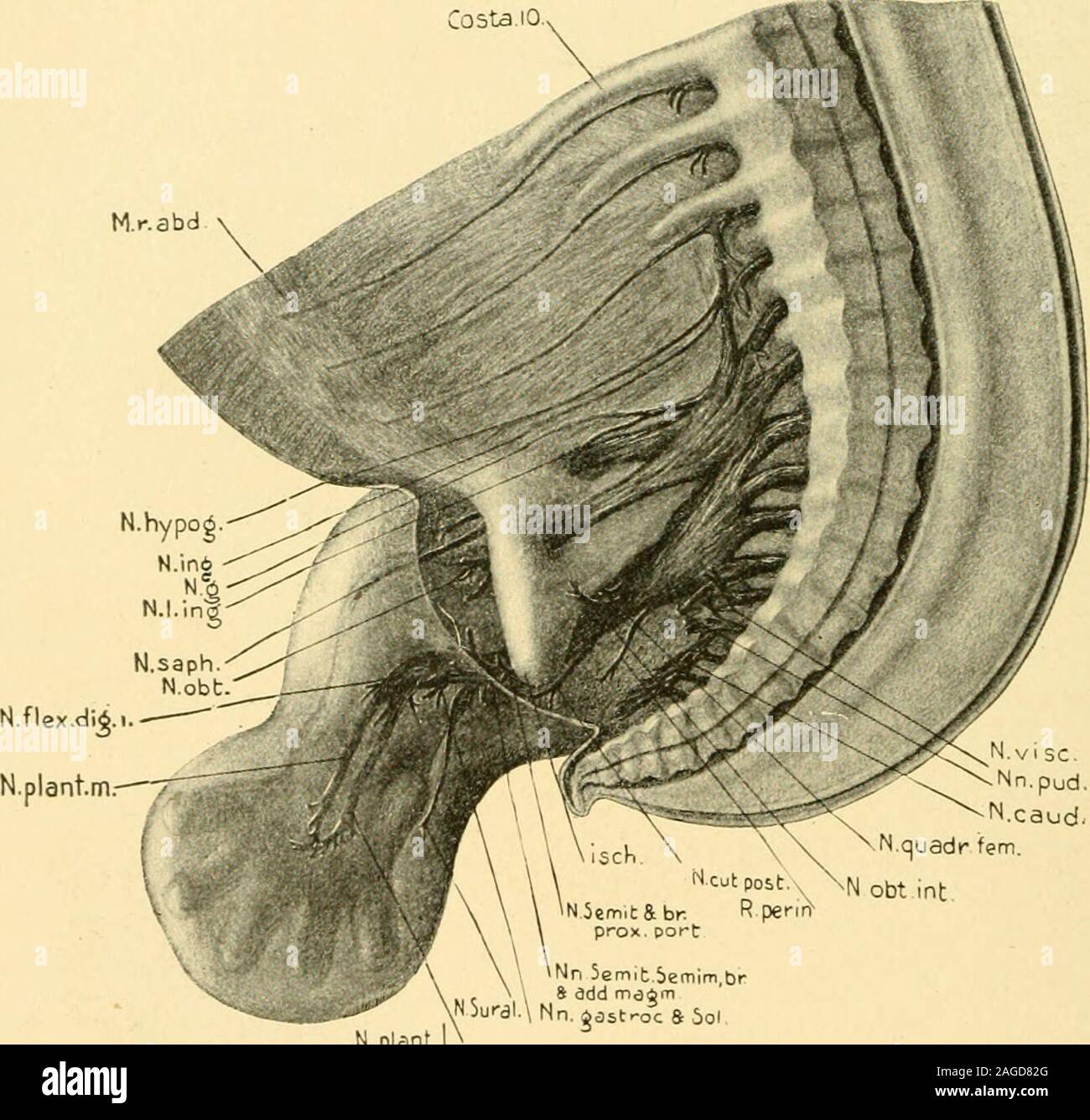 Fit of nerves hi-res stock photography and images - Alamy