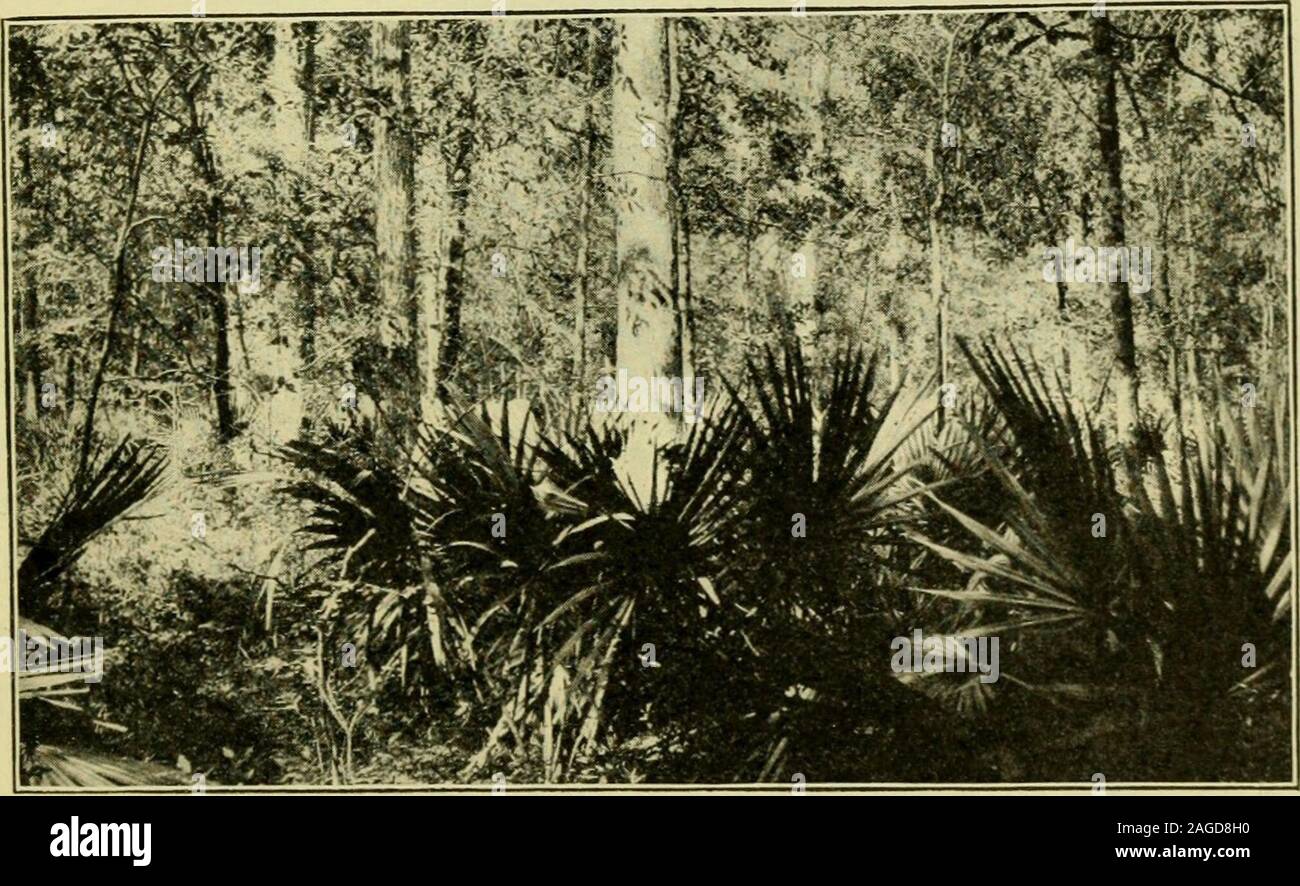 New caney texas hi-res stock photography and images - Alamy