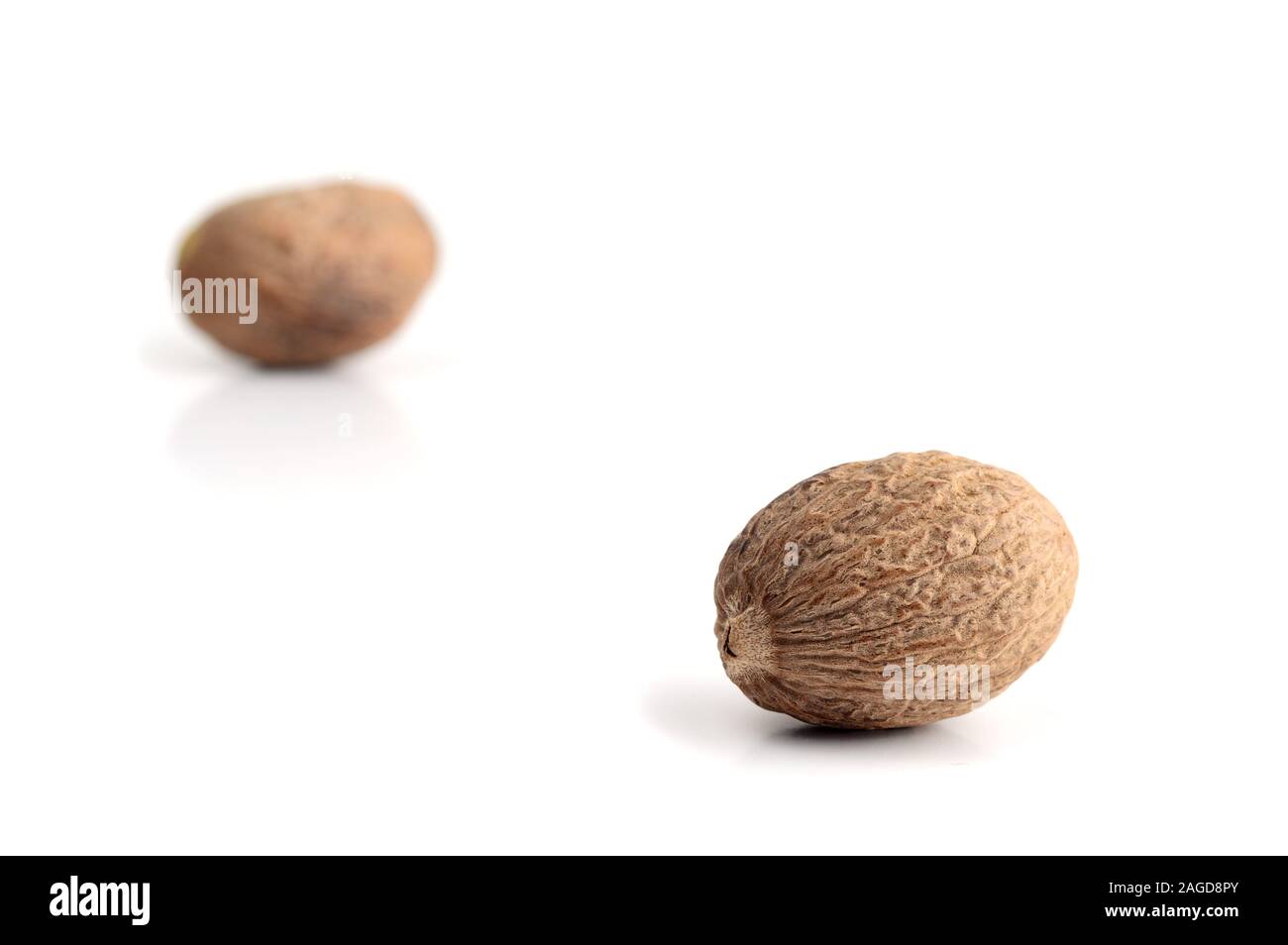Nutmeg isolated on white background. Close up Stock Photo - Alamy