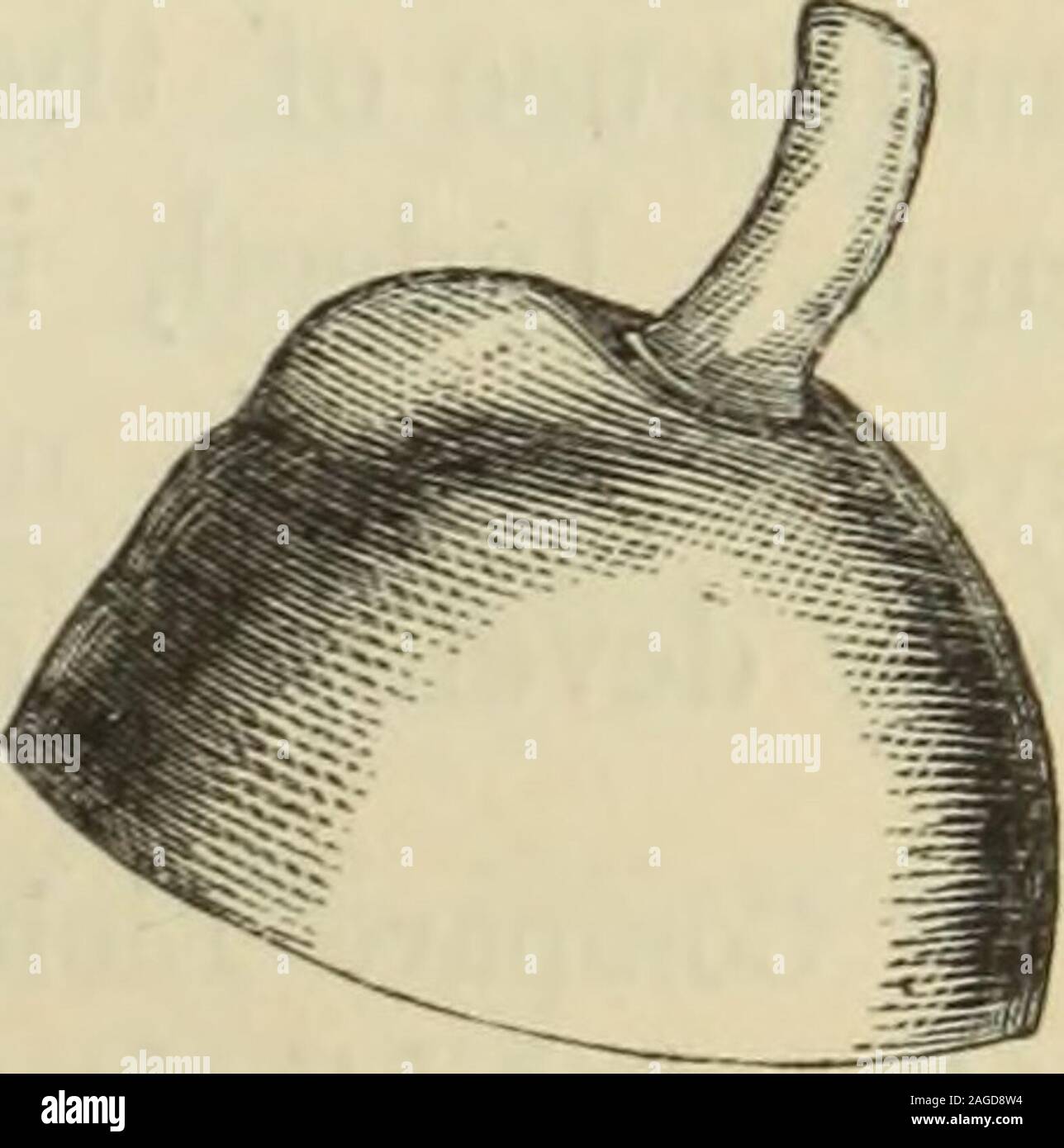 Seenothing hi-res stock photography and images - Alamy