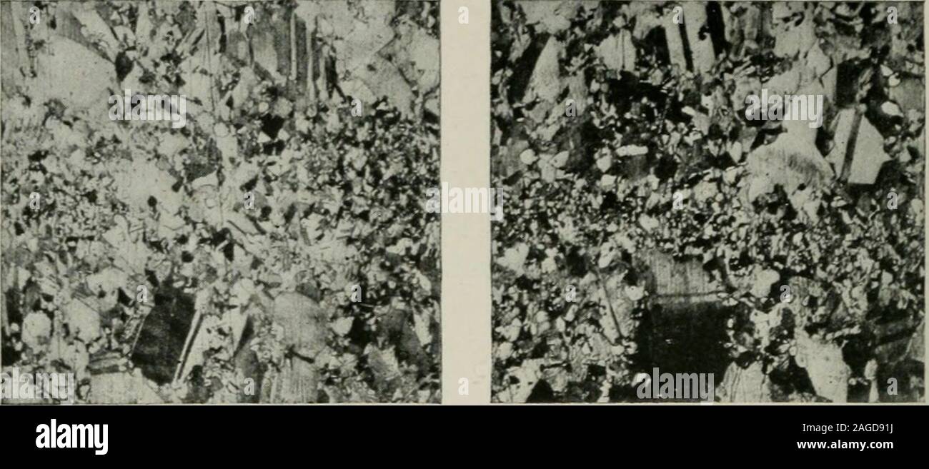 . Transactions. Fig. 5. Fig. 6. Fig. 5.—High side op scratched ...