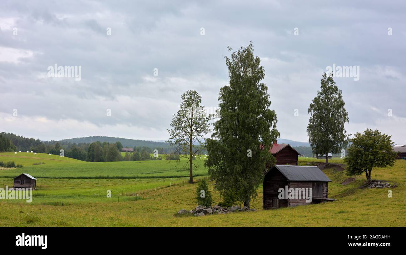 Halsingland sweden hi-res stock photography and images - Alamy