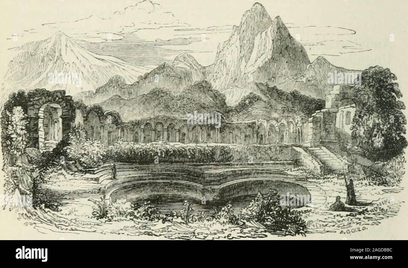 Legam hi-res stock photography and images - Alamy