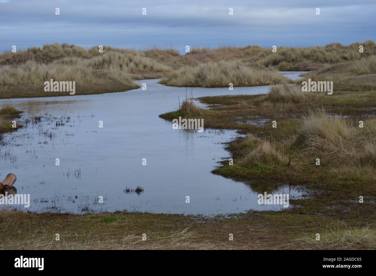 Tentsmuir beach hi-res stock photography and images - Alamy