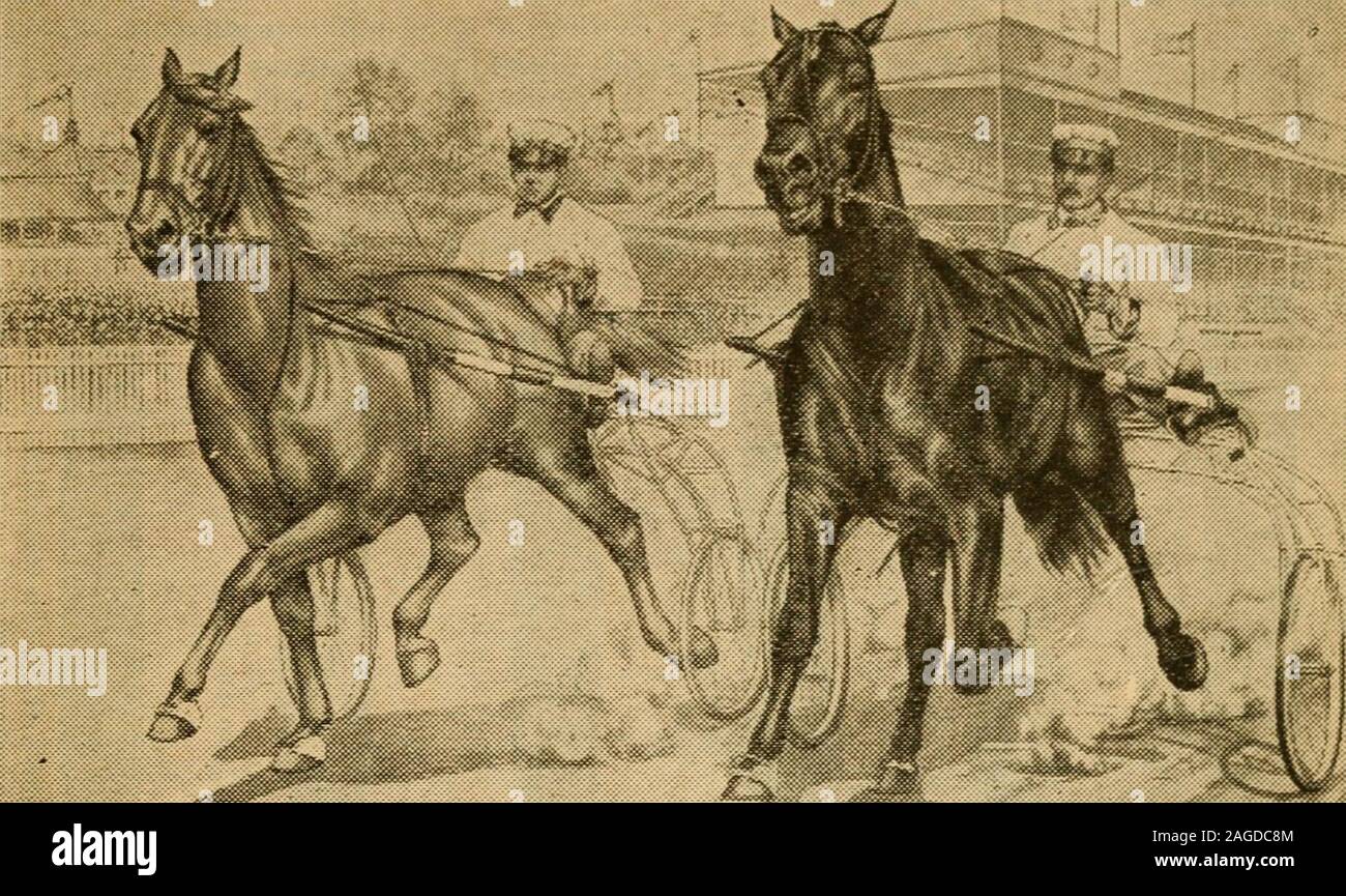 Extremespeed hi-res stock photography and images - Alamy