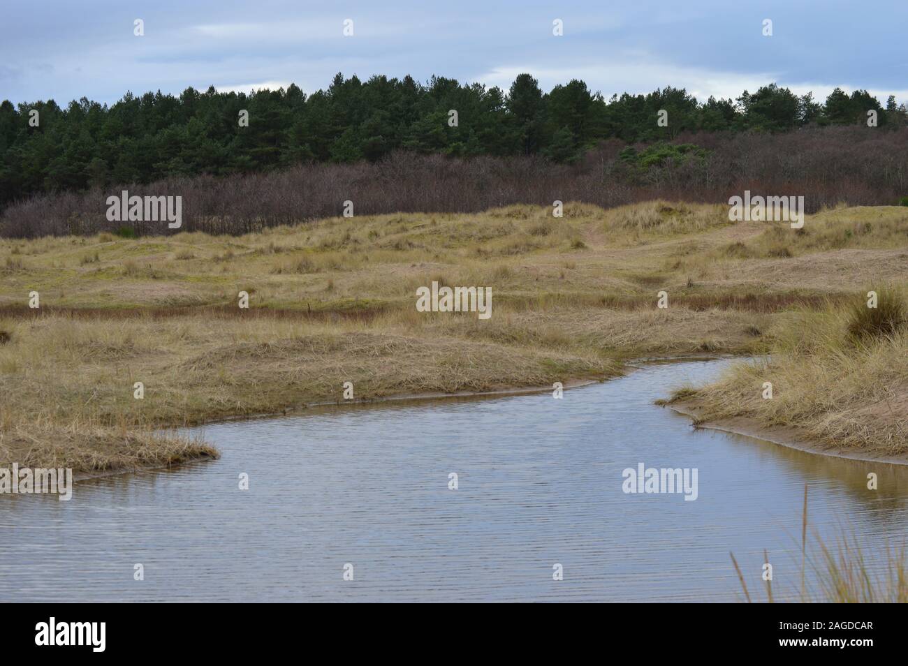 Kinshaldy Beach, Tentsmuir Forest, Leuchars, Fife, Scotland, December ...