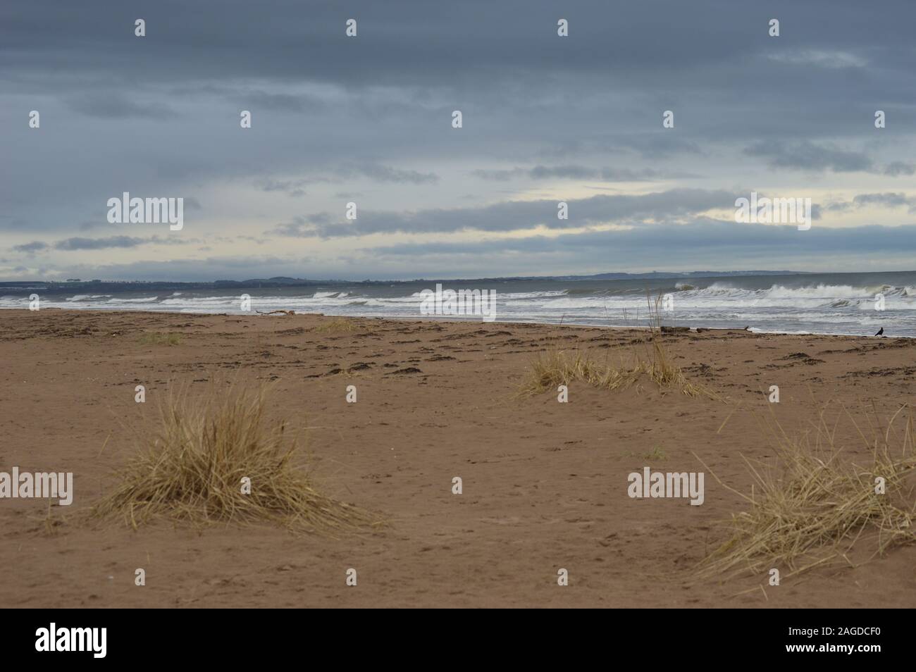 Sandy beach trevorsmith hi-res stock photography and images - Alamy