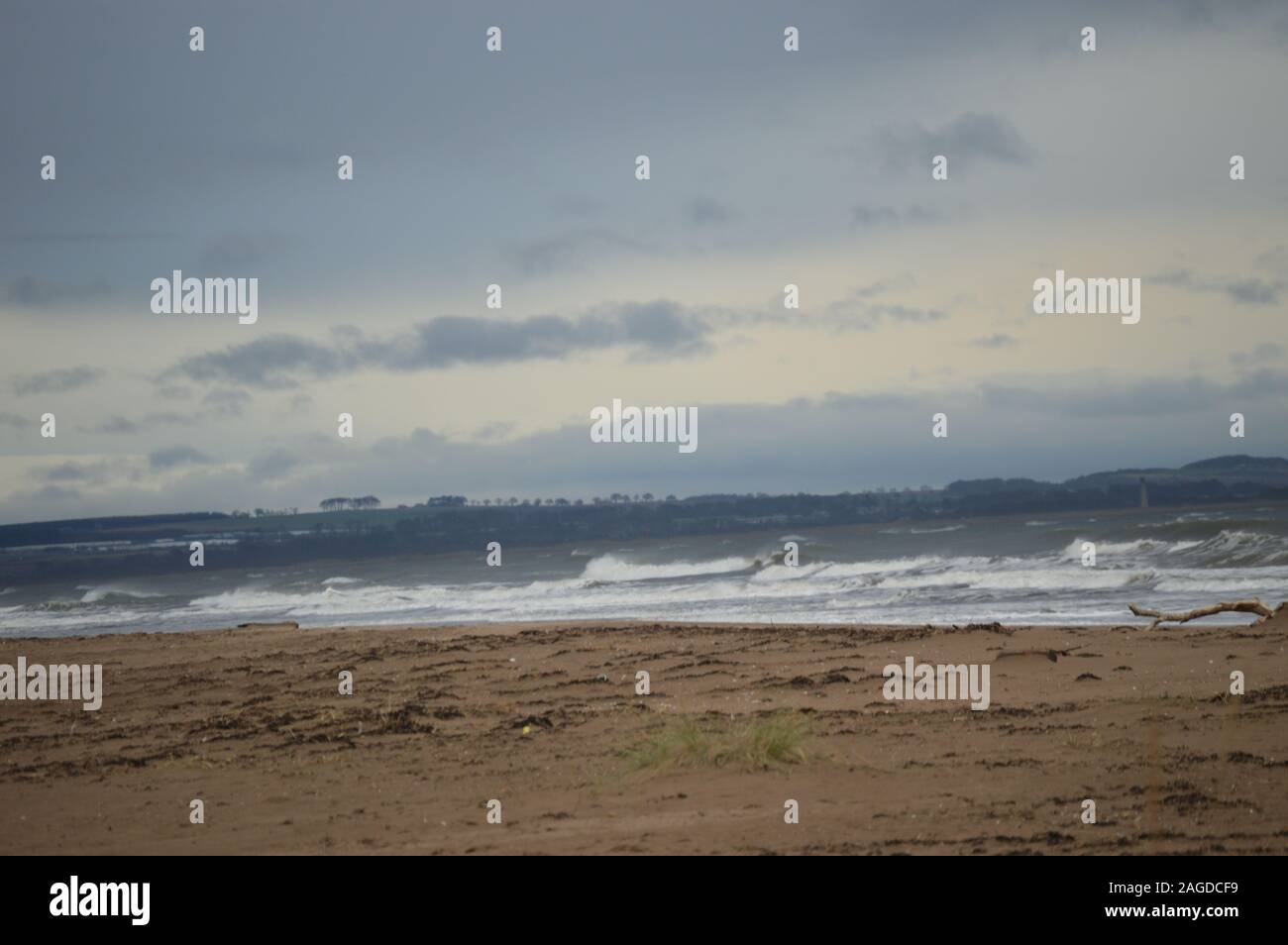Kinshaldy Beach, Tentsmuir Forest, Leuchars, Fife, Scotland, December ...