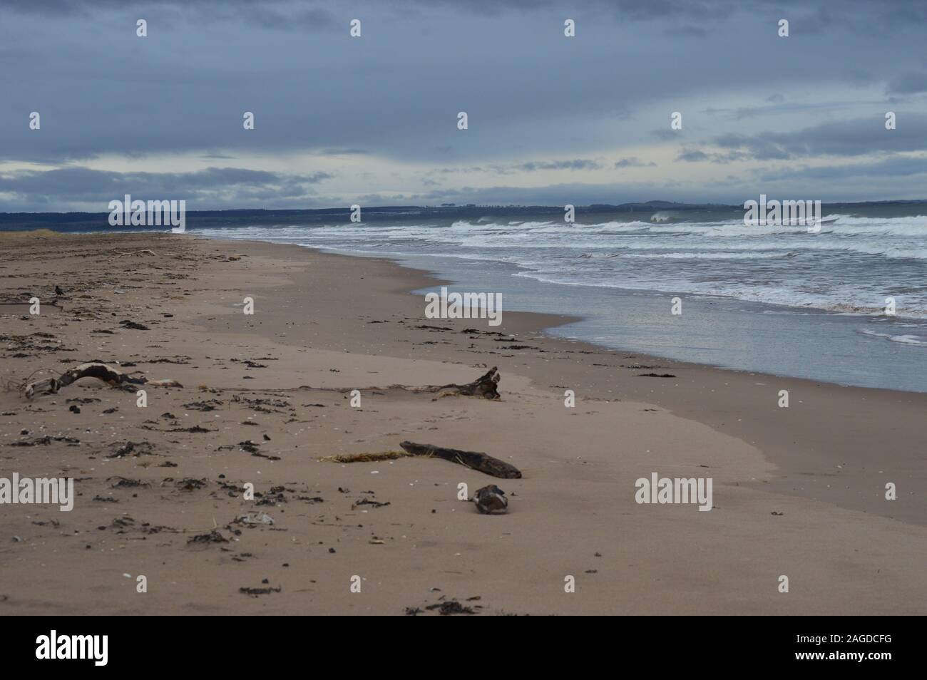 Kinshaldy Beach, Tentsmuir Forest, Leuchars, Fife, Scotland, December ...