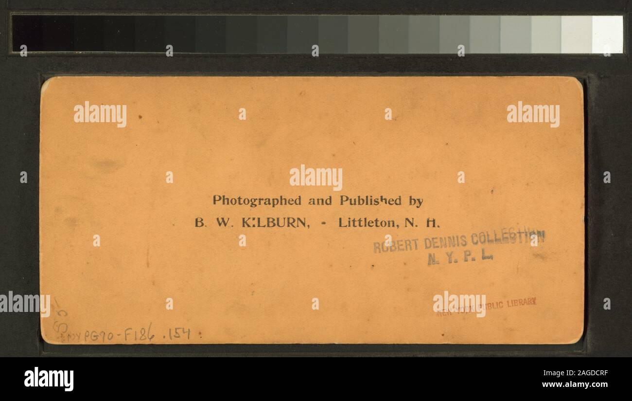 India's princess, Agricultural building, World's Fair, Chicago by B.W ...