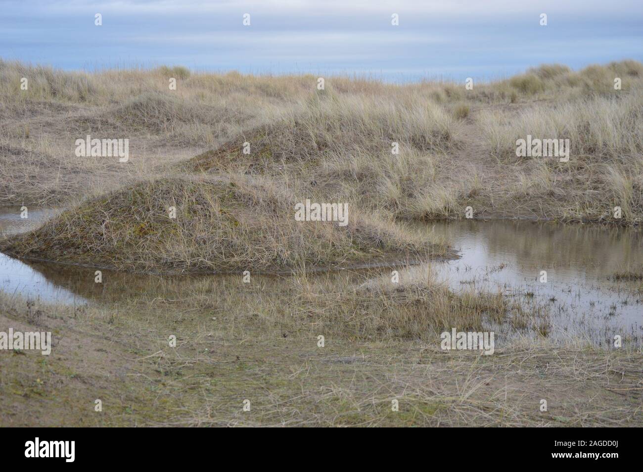 Kinshaldy Beach, Tentsmuir Forest, Leuchars, Fife, Scotland, December ...