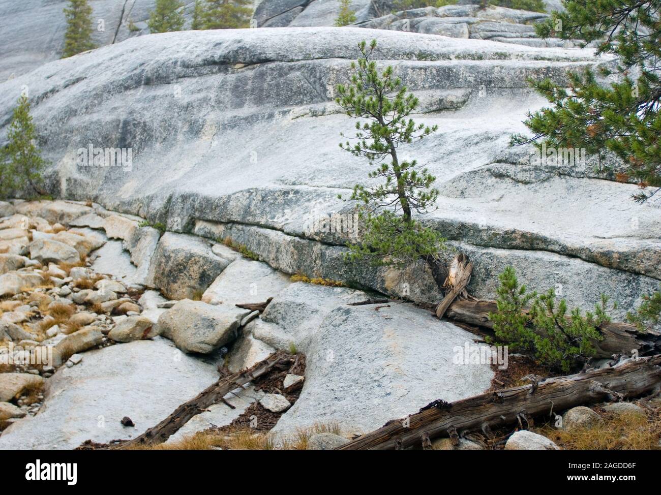 Frozen scenery of snow covering the rock formations in the park during ...