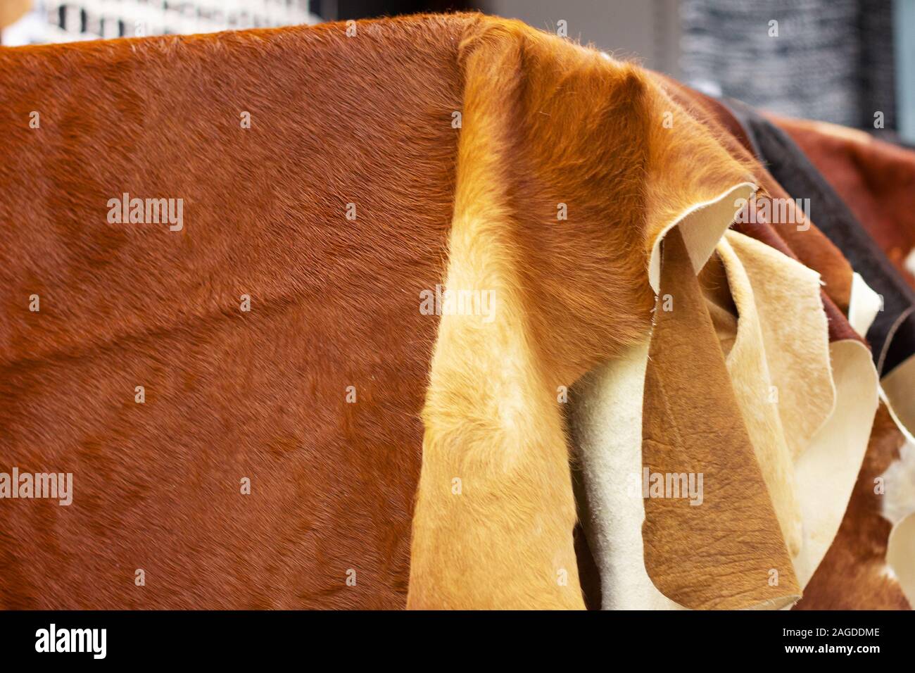 dressing from the skin of cow . artificial eco material Stock Photo - Alamy